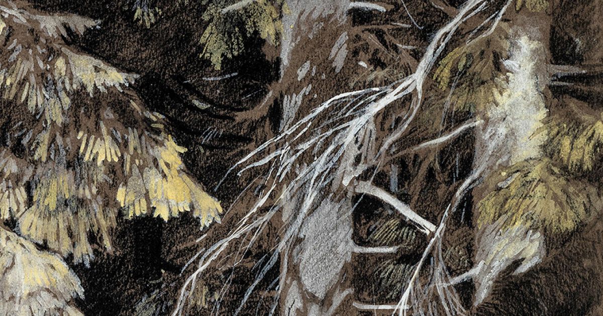 Rihards Zariņš (1869–1939). What Latvia’s Forests Are Whispering - Art ...