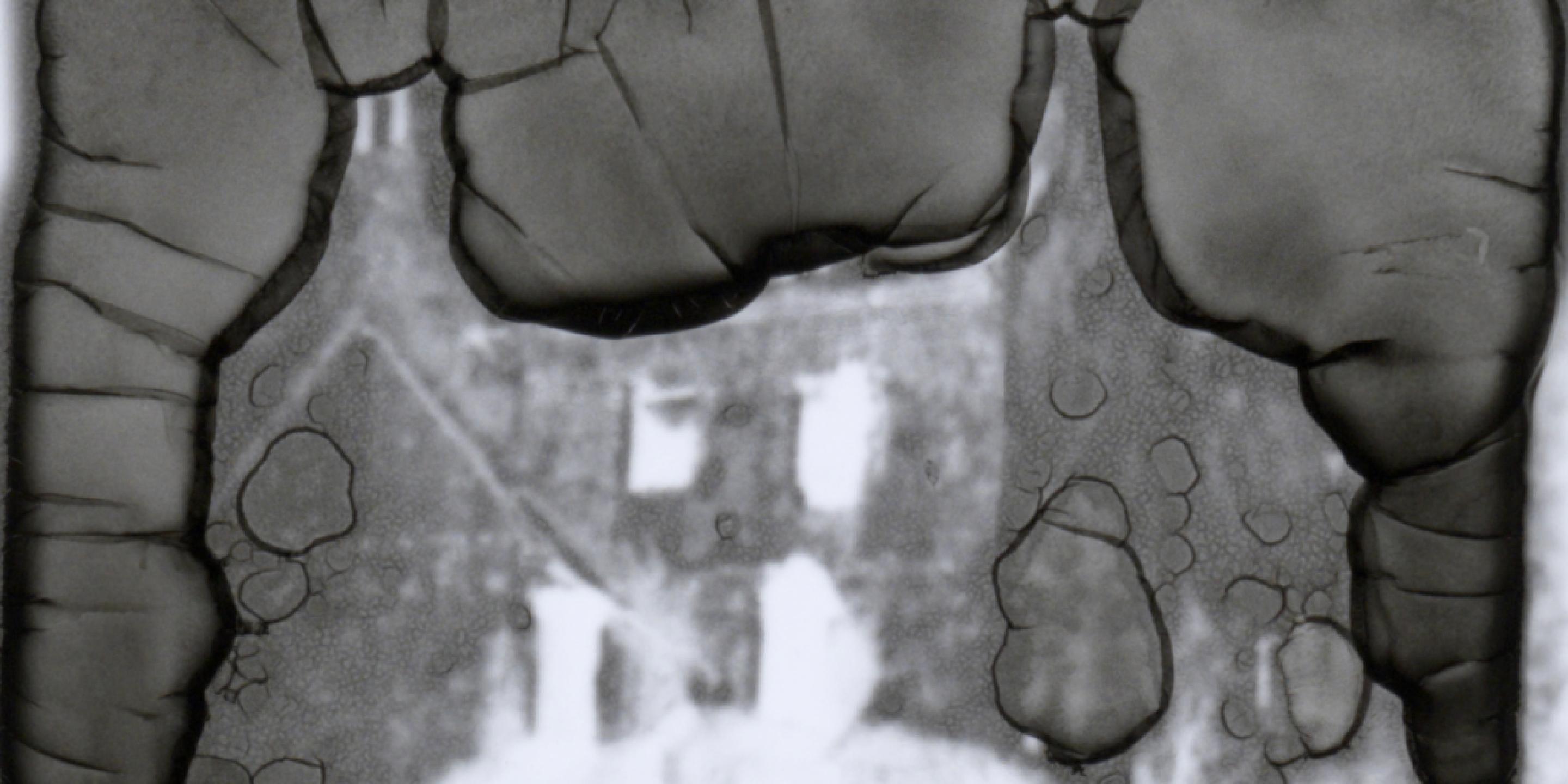 Ieva Balode. Loop of Fear: Solo show - Art Museums