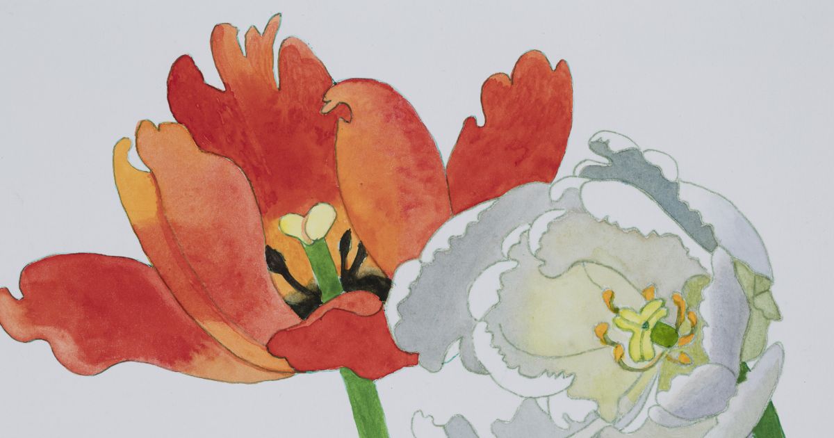 Latvijas Nacionālais mākslas muzejs informē par darba laiku MAIJA ...